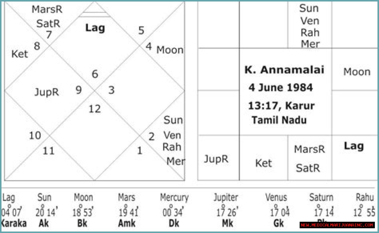 Annamalai Birth Chart: Uncover The Secrets Of His Cosmic Alignment